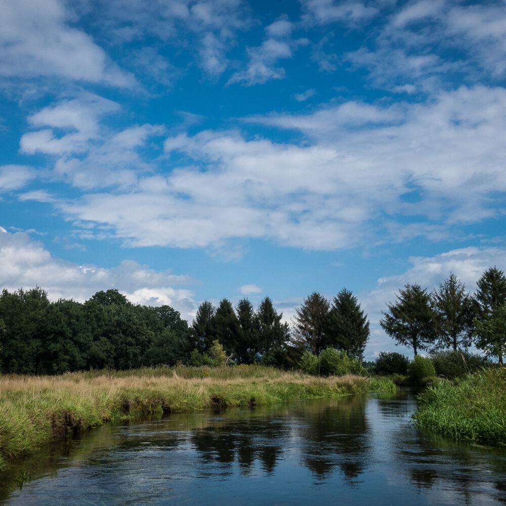 Canoeing on the Dommel River | Freeranger Canoe