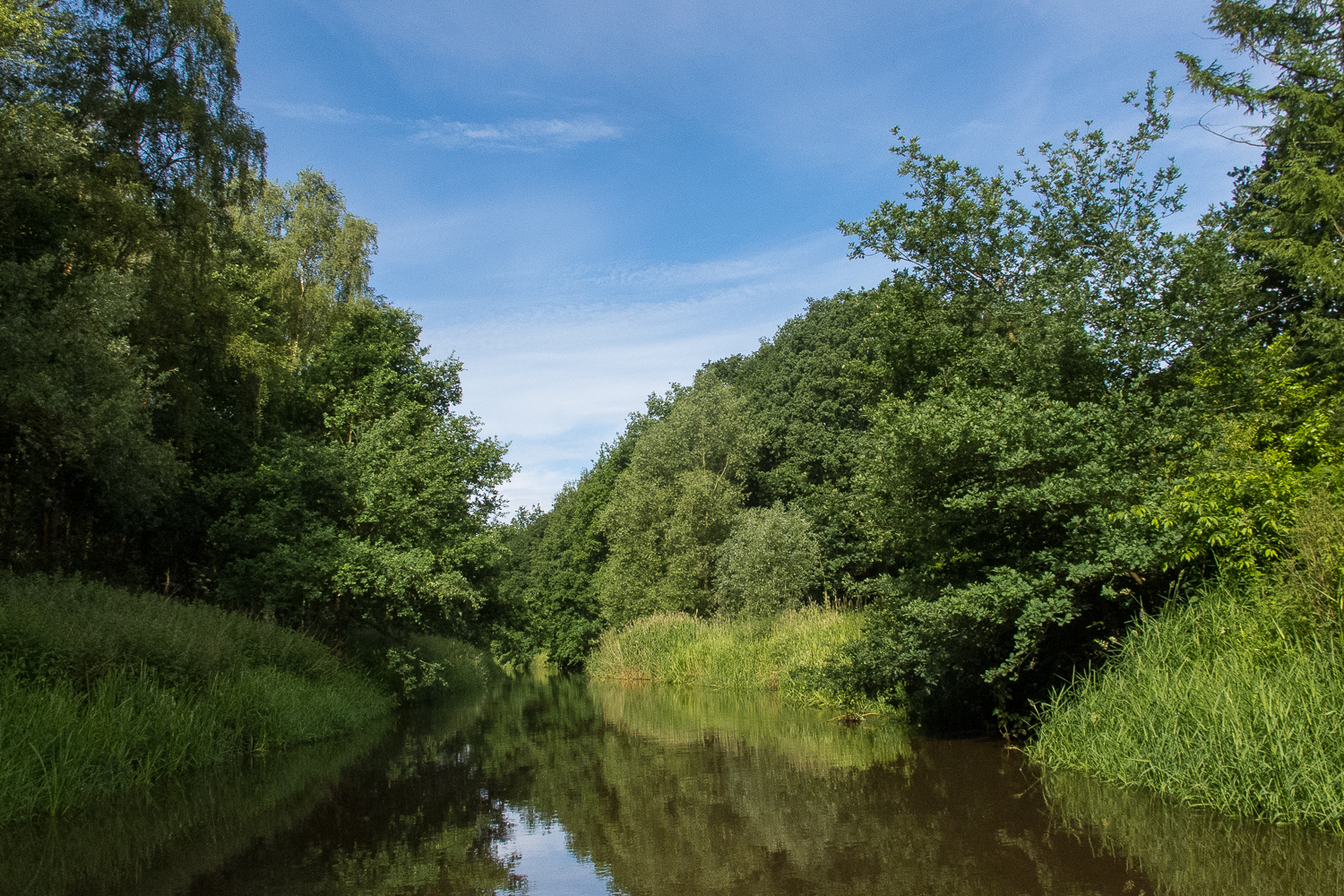 Canoeing on the Nete River | Freeranger Canoe